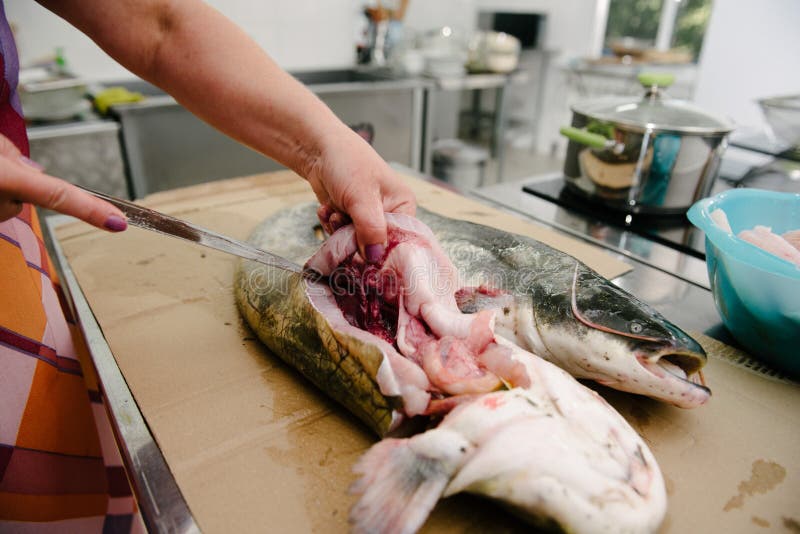 The Cook Cuts a Large Fish on the Table with a Knife Stock Photo ...