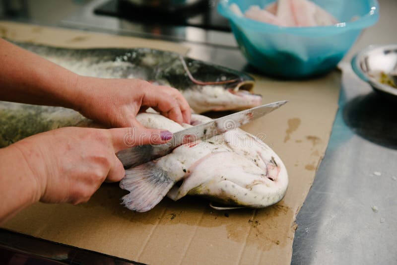The Cook Cuts a Large Fish on the Table with a Knife Stock Image ...