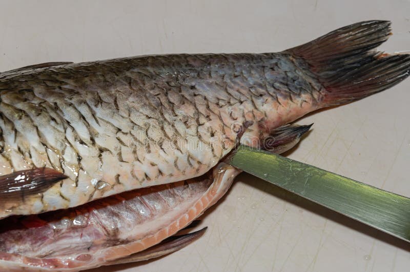 The Cook Cuts Raw Crucian Fish on a Cutting Board with a Knife Stock ...