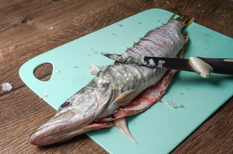 The Cook Cuts Raw Pike Fish on a Cutting Board with a Knife Stock Photo ...