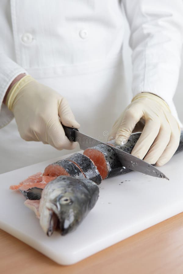 Fish processing factory stock photo. Image of dedicated - 6747186