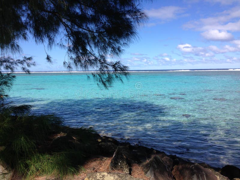 Cook Islands stock photo. Image of resort, sand, fish - 74096348