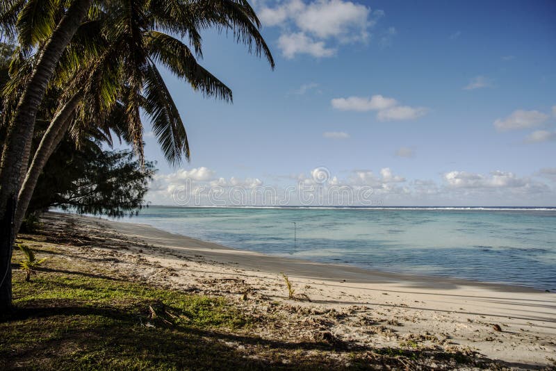 Cook Islands stock photo. Image of pacific, fern, island - 50014618