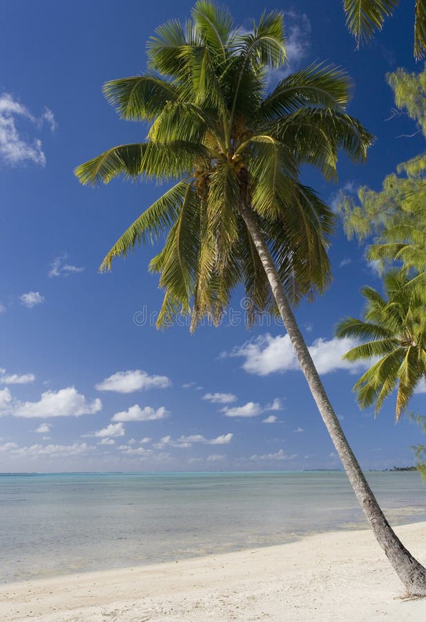 Cook Islands - Tropical Beach Paradise Stock Image - Image of romantic ...