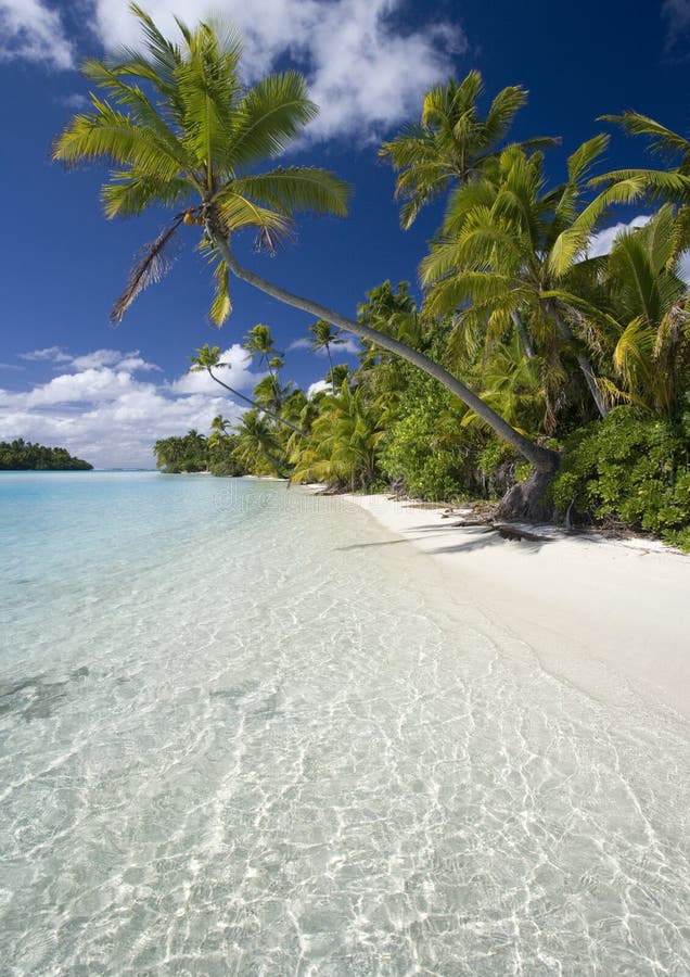 Cook Islands - Tropical Beach Paradise Stock Image - Image of coast ...