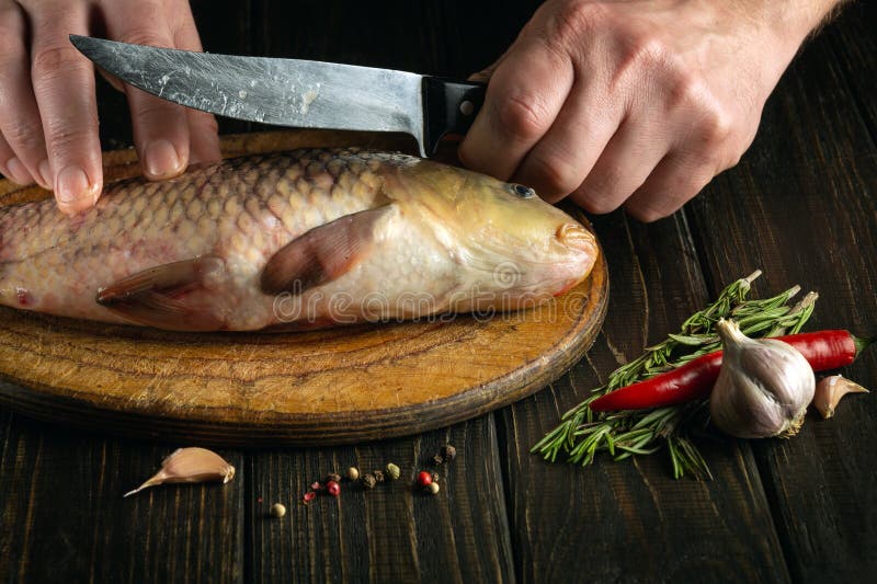 The Cook Prepares Cyprinus Fish in the Kitchen Table. Preparation for ...