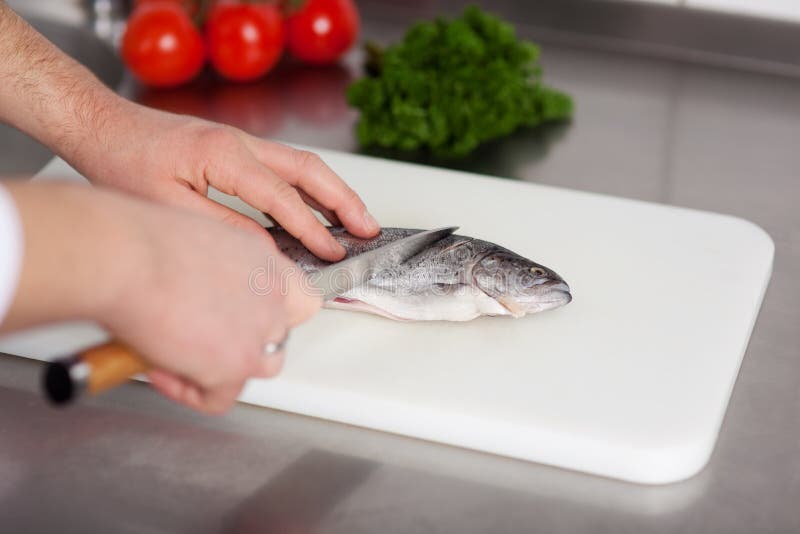 Cook preparing fish stock image. Image of food, people - 31353029