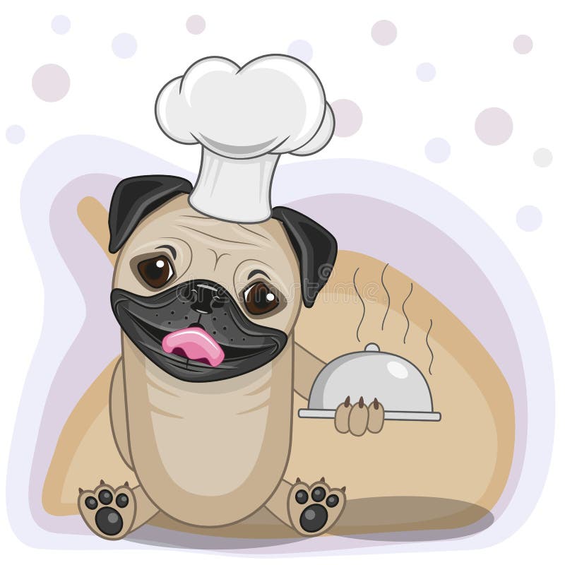 Cook Pug Dog stock vector. Illustration of food, sign - 47911553