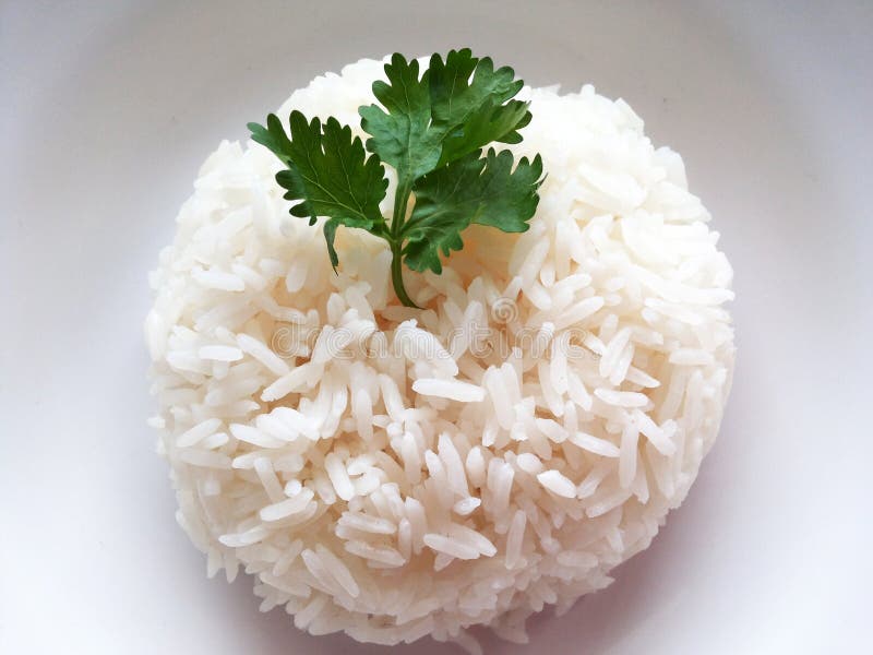 Cook Rice on White Background Stock Image - Image of white, asian: 57645563