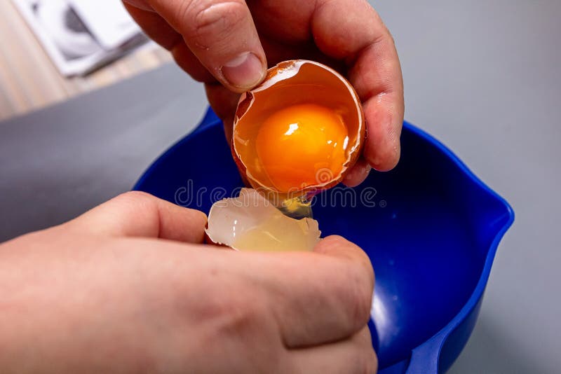 The Cook Separates the Egg Yolk from the Egg White in the Shell Stock ...