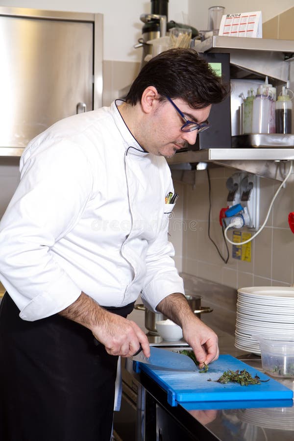 Cook stock image. Image of garnishing, holding, decoration - 40384267