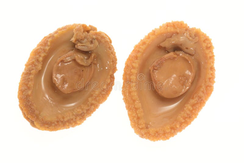 Cooked Abalone stock image. Image of nature, abalone - 29915935