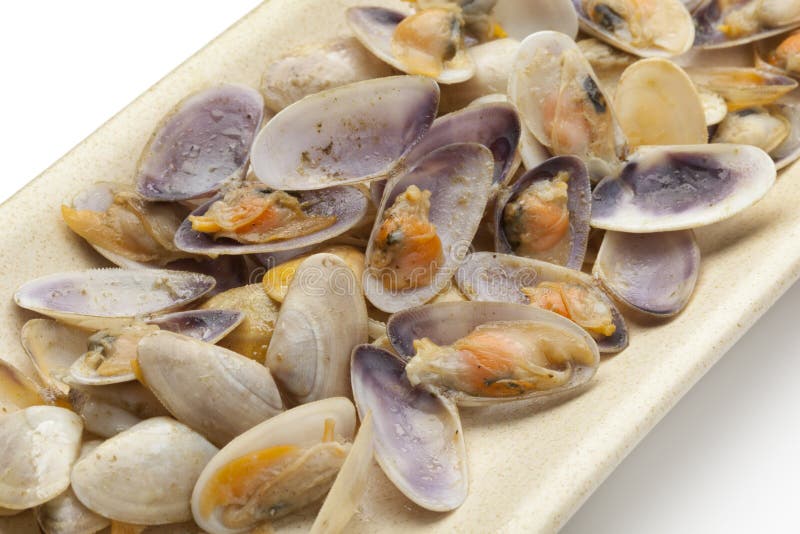 A Lot of Wedge Shells Clams after the Harvest Stock Image - Image of ...