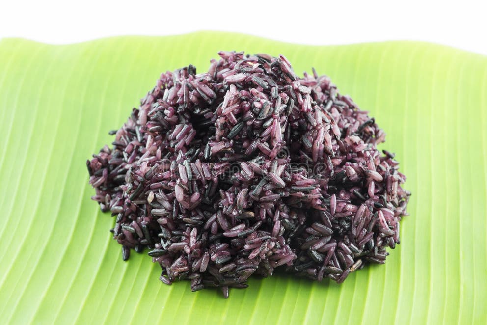 Cooked Black Glutinous Rice Stock Image - Image of food, organic: 36010231