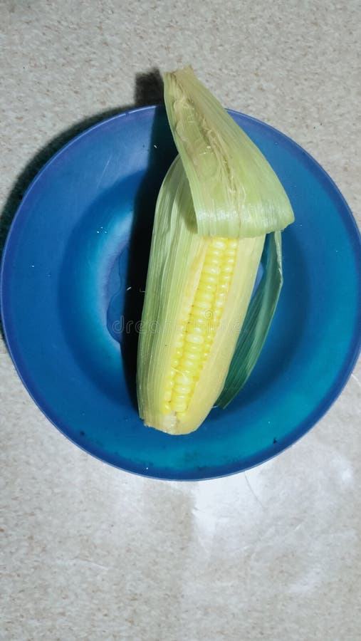 Cooked Boiled Corn for Nutrition for the Body Stock Photo - Image of ...
