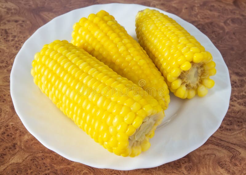 Cooked corn stock image. Image of treat, summer, vegetables - 56819229