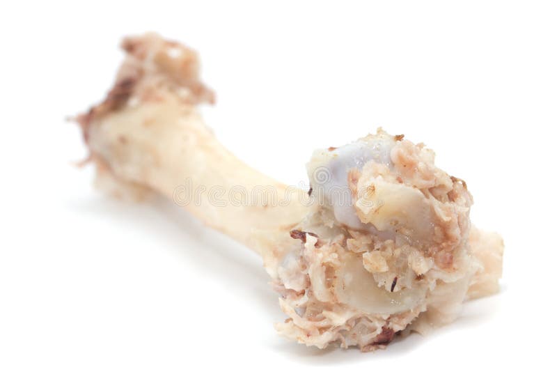 Cooked bones stock image. Image of stack, cooked, bone - 64427803