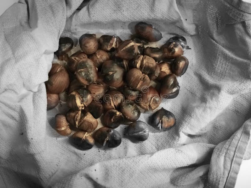 Cooked Cestnuts Covered with a Rag Stock Image - Image of roast ...
