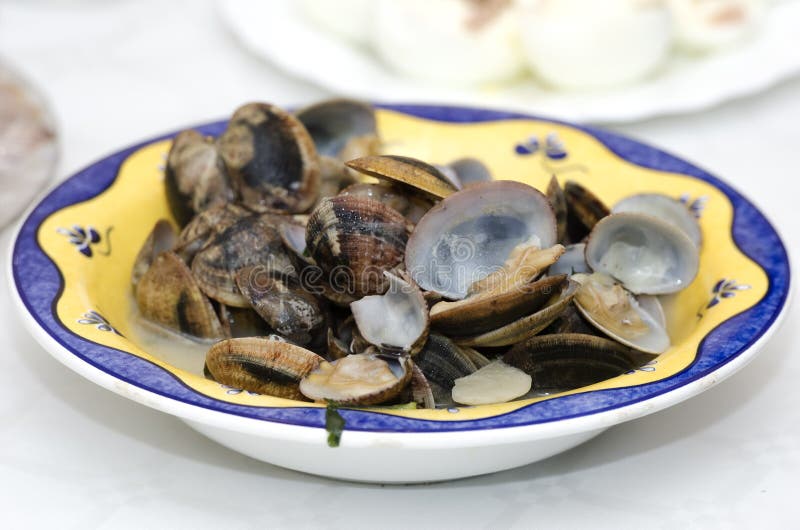 Cooked clams stock photo. Image of shellfish, clams, spain - 36318218