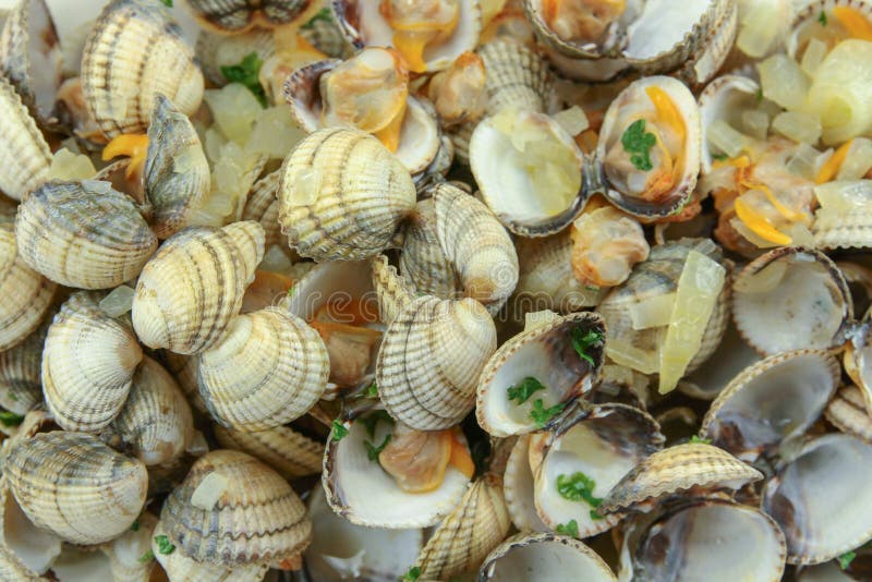 Cooked Cockles Tasty Appetizer. Close Up Stock Image - Image of close ...