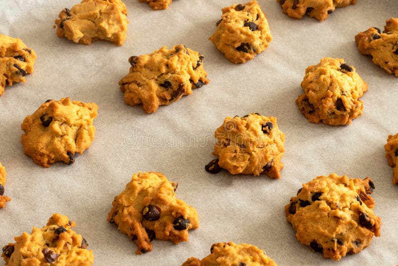 Cooked Cookies with Chocolate and Walnut Stock Photo - Image of crumbs ...