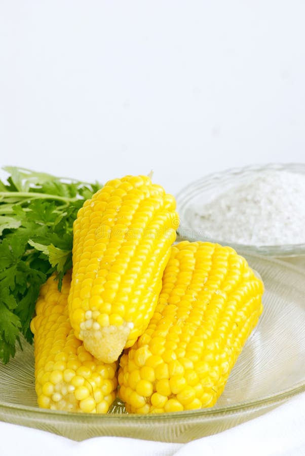 Cooked corn stock photo. Image of lunch, dieting, healthy - 43432120