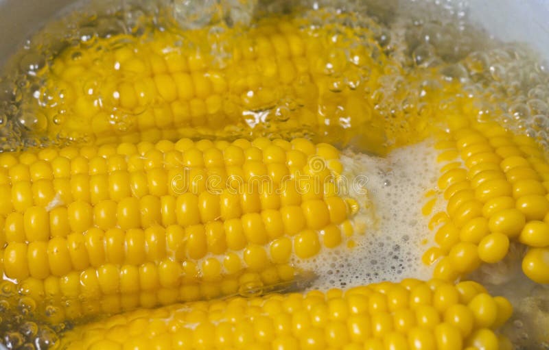 Cooked Corn and Boiling Water Stock Image - Image of cooked, boil: 20832677