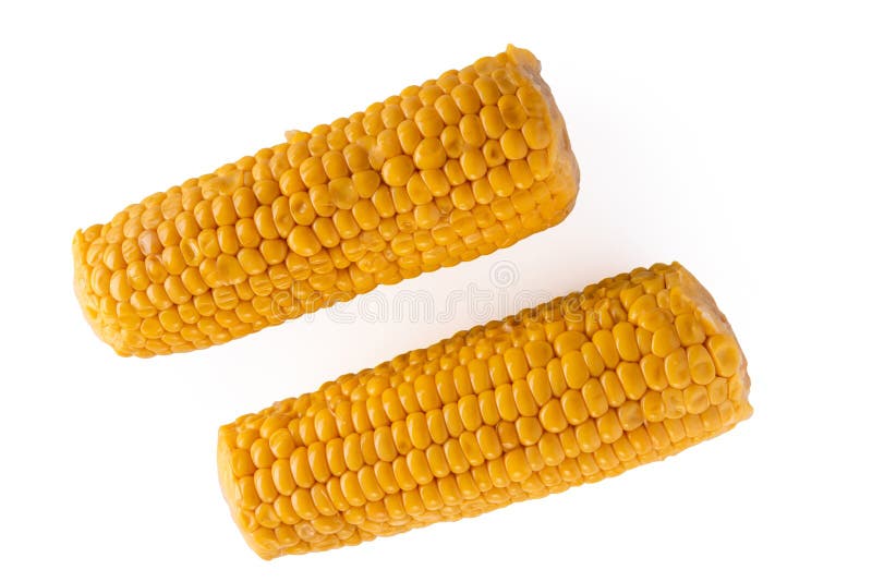 Cooked corn cobs isolated stock image. Image of corncob - 270696375