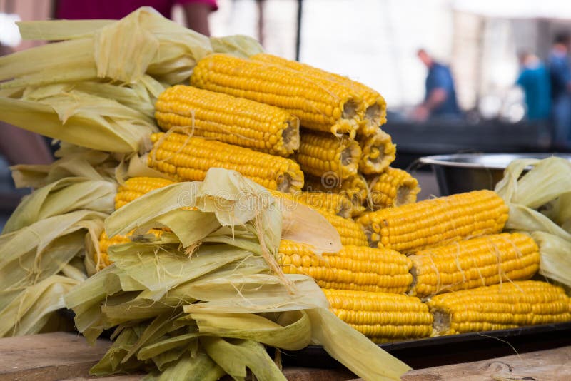 Cooked Corn Cobs Stacked on the Table Stock Photo - Image of rustic ...