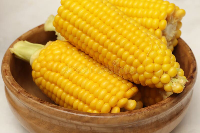 Cooked corn. stock image. Image of harvesting, food - 201510567
