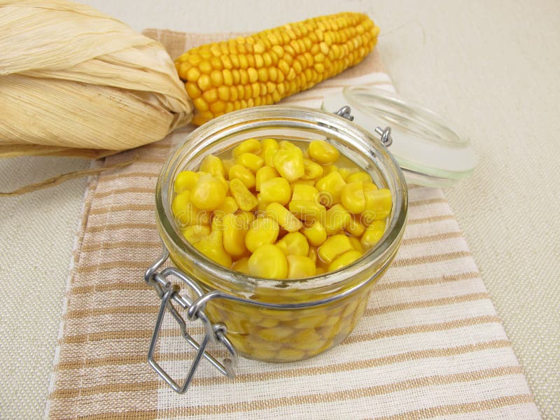 Cooked corn kernels stock image. Image of cooked, preserve - 66395427