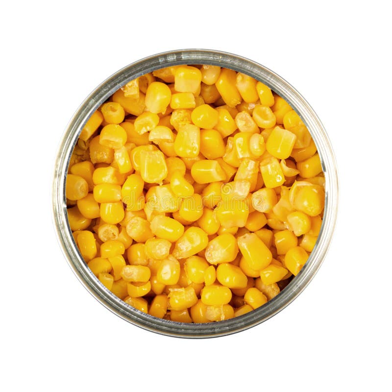 Cooked Corn Kernels in a Tin Can Isolated Top View Stock Image - Image ...