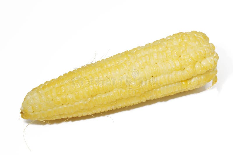 Cooked corn stock image. Image of healthy, food, gold - 54197787