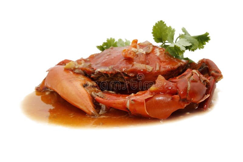 Cooked crab stock photo. Image of cook, shell, marine - 14261170