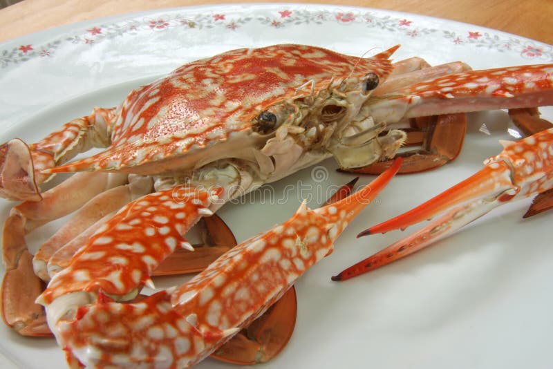 Cooked crab stock image. Image of cook, king, crab, delicacy - 3961107