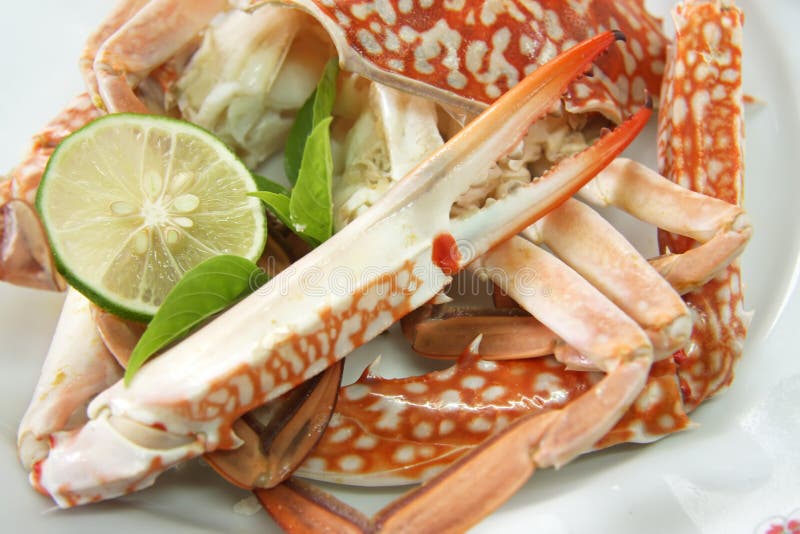 Cooked crab stock image. Image of crab, steamed, king - 3990765