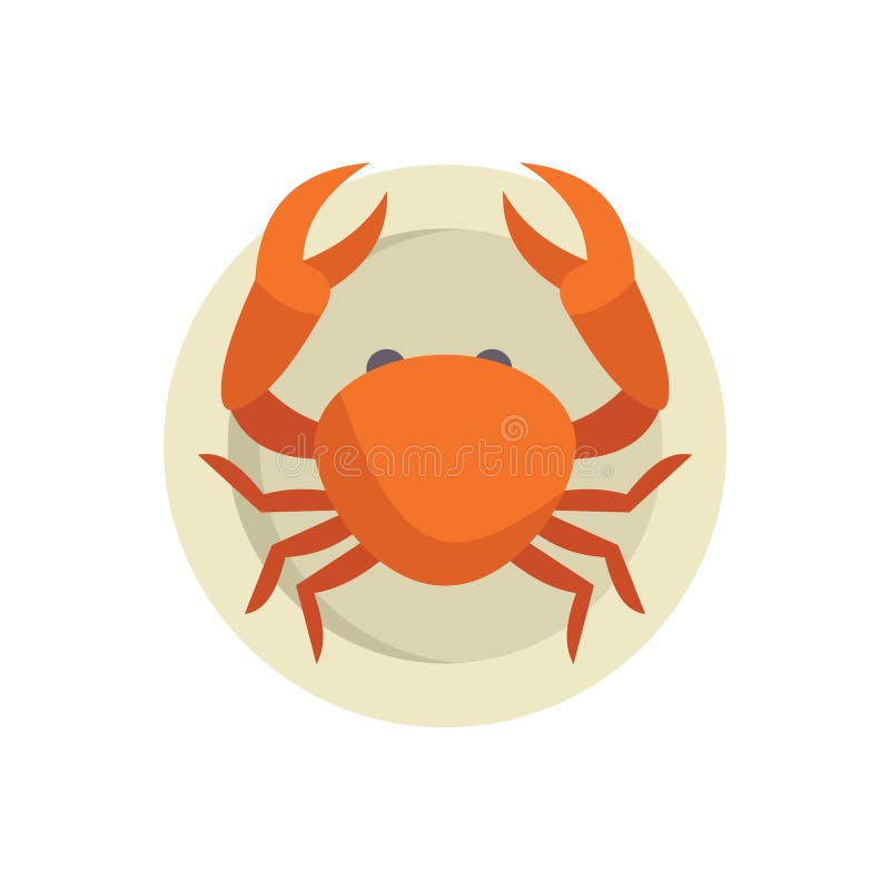 Cooked Crab Lying on Plate Top View Vector Illustration Stock ...