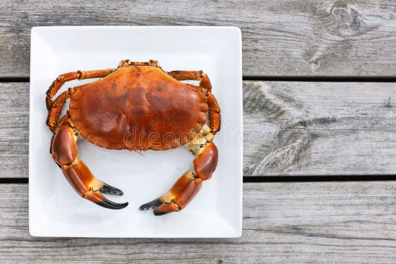 Crab Top View Isolated on White Background. Generative AI Stock ...