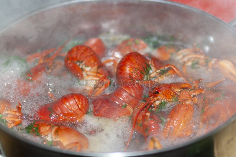 Crawfish Boil stock photo. Image of decapod, corn, colorful - 13080780