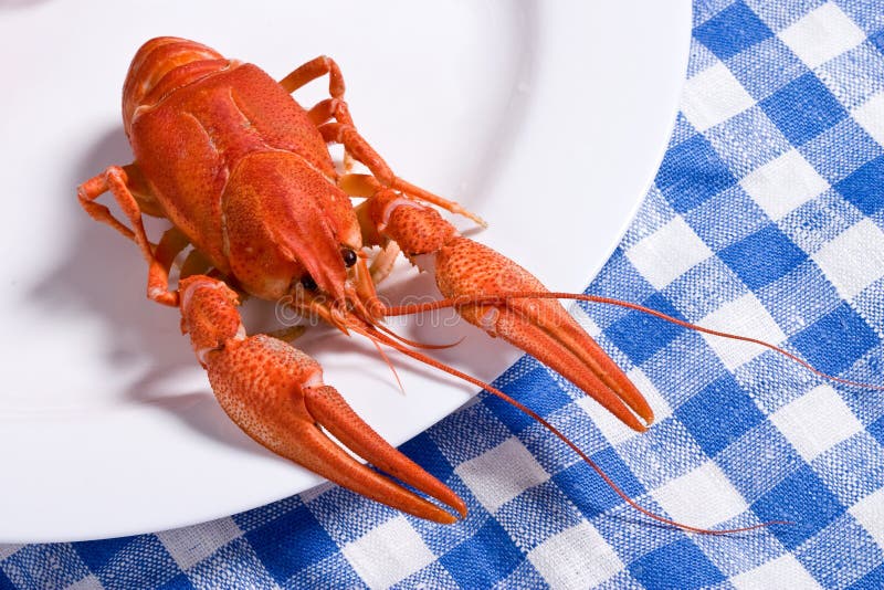 Cooked crayfish stock image. Image of plate, food, appetizing - 11003929