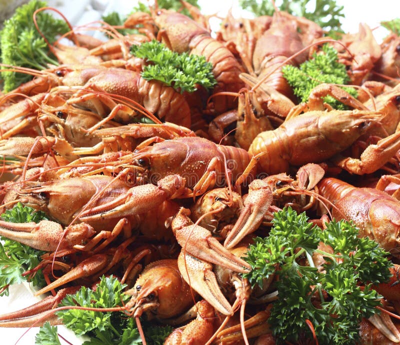 Crayfish Cooked For Serving Stock Photo - Image of several, crawfish ...