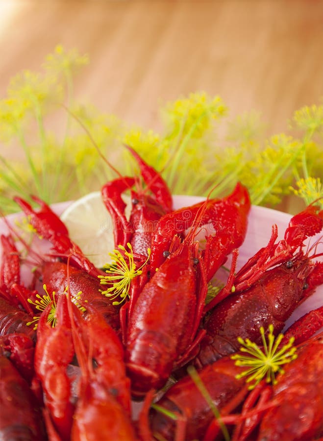 Cooked crayfish stock image. Image of crayfish, lunch - 59785473