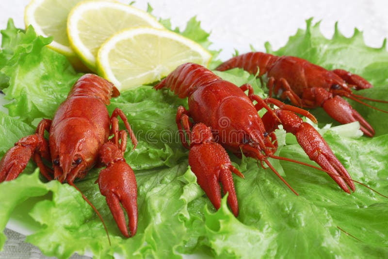 Cooked crayfish plate stock image. Image of boiled, crustacean - 31959971
