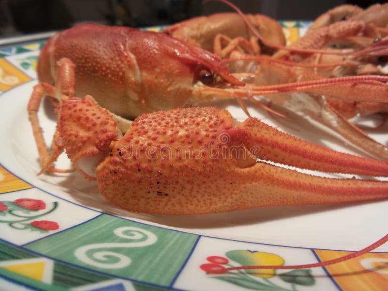 Cooked crayfish stock image. Image of boiled, ready, lemon - 48225795