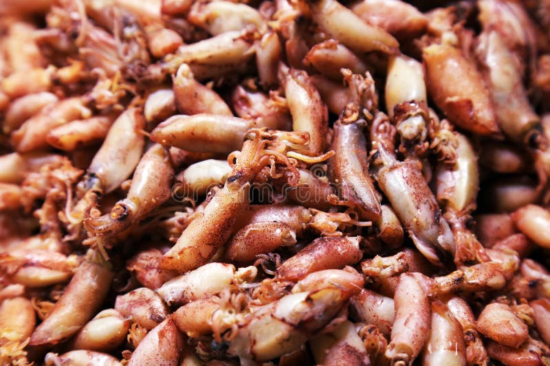 Cooked Cuttlefish Piled Together, Delicious Food Stock Photo - Image of ...