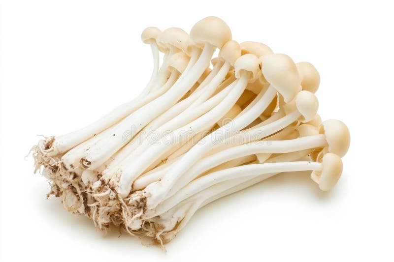 Cooked Enoki Mushrooms Displayed in a Professional Studio Setup on a ...