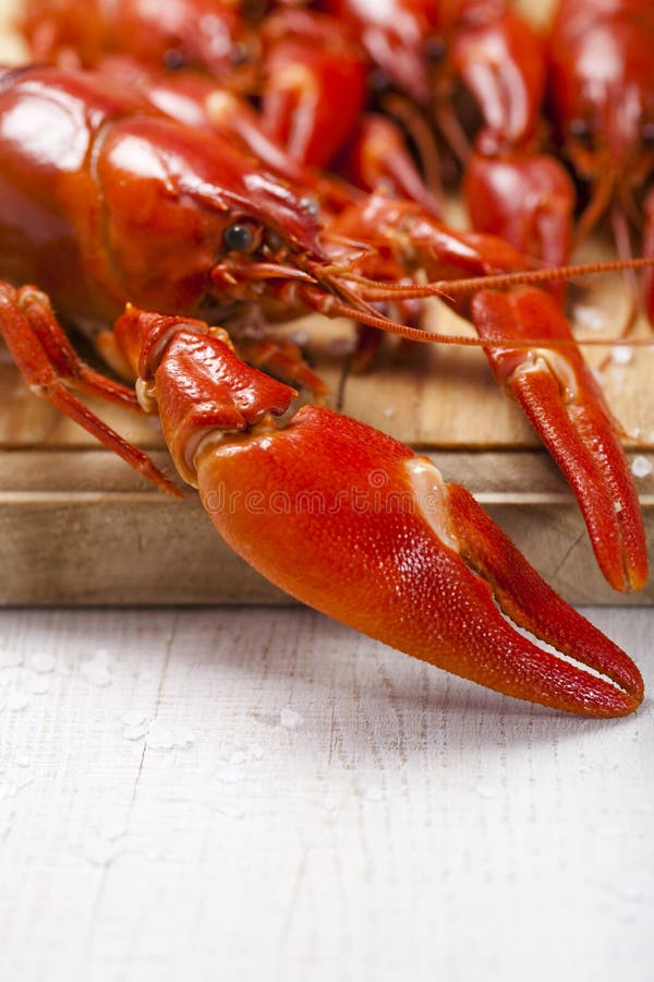 Cooked Freshwater Crayfish on Wooden Board Stock Photo - Image of white ...