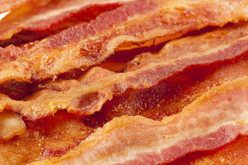 Cooked Greasy Bacon stock photo. Image of sliced, food - 27327166