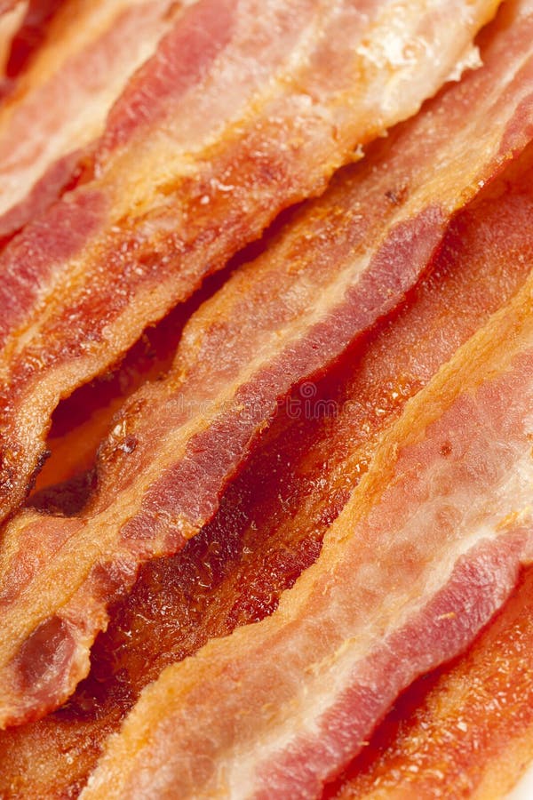 Cooked Greasy Bacon stock image. Image of fattening, cooked - 27327173