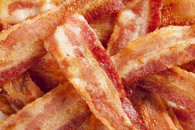 Cooked Greasy Bacon stock photo. Image of food, slice - 27327100